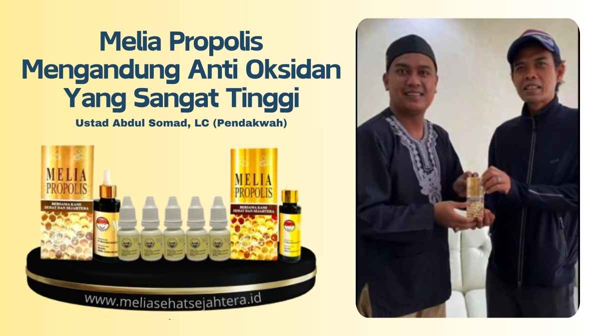 Melia Sehat Sejahtera – Affiliator Dan Distributor Resmi PT Melia Sehat ...